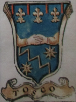 Armoriale delle famiglie italiane (Tos) - Armoriale